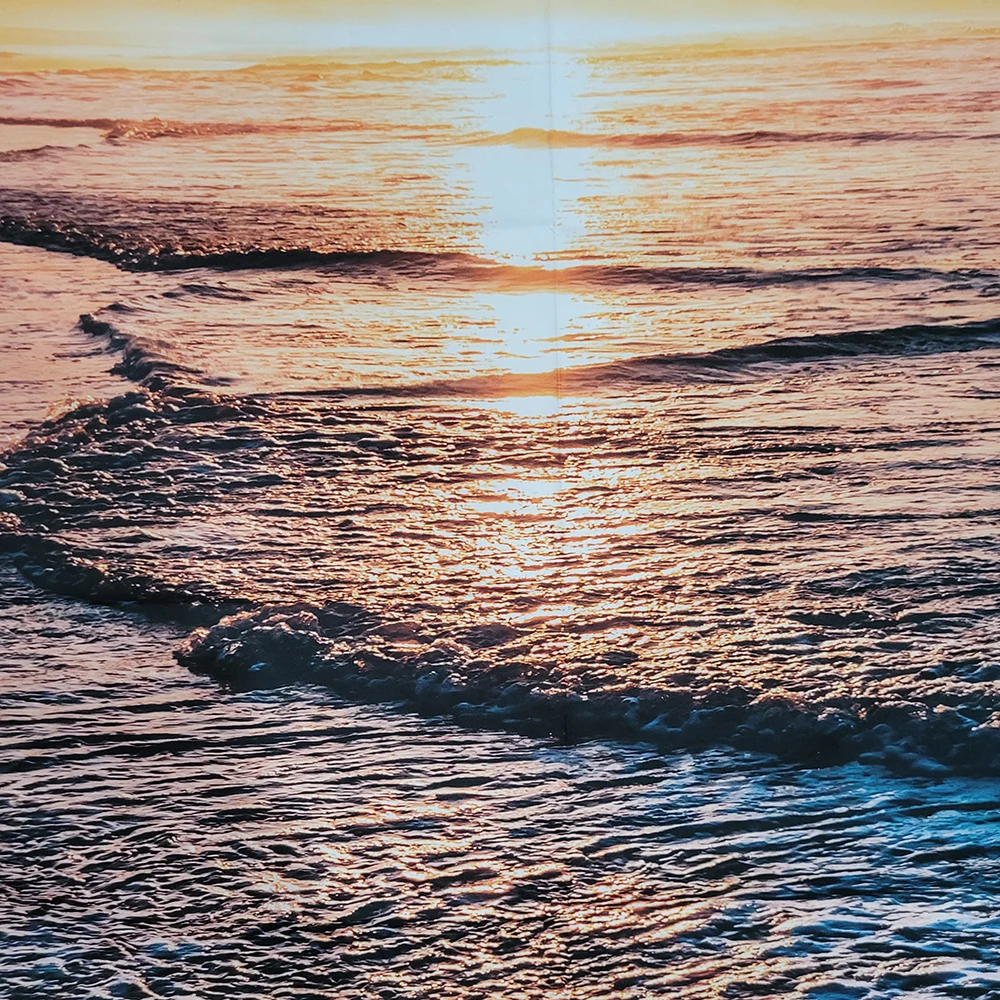 Beautiful Sunsets On The Beach Tumblr