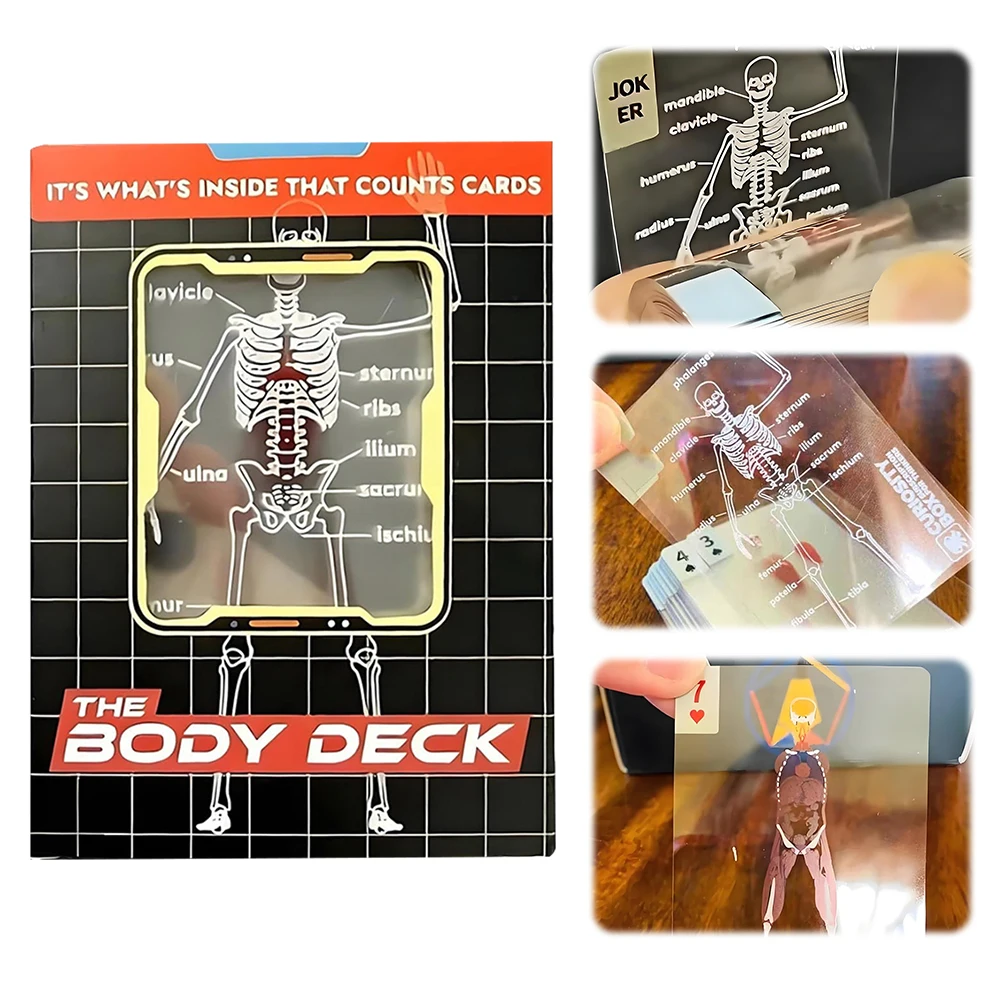 Why the Body Deck Playing Cards Are the Perfect Choice for Education ...