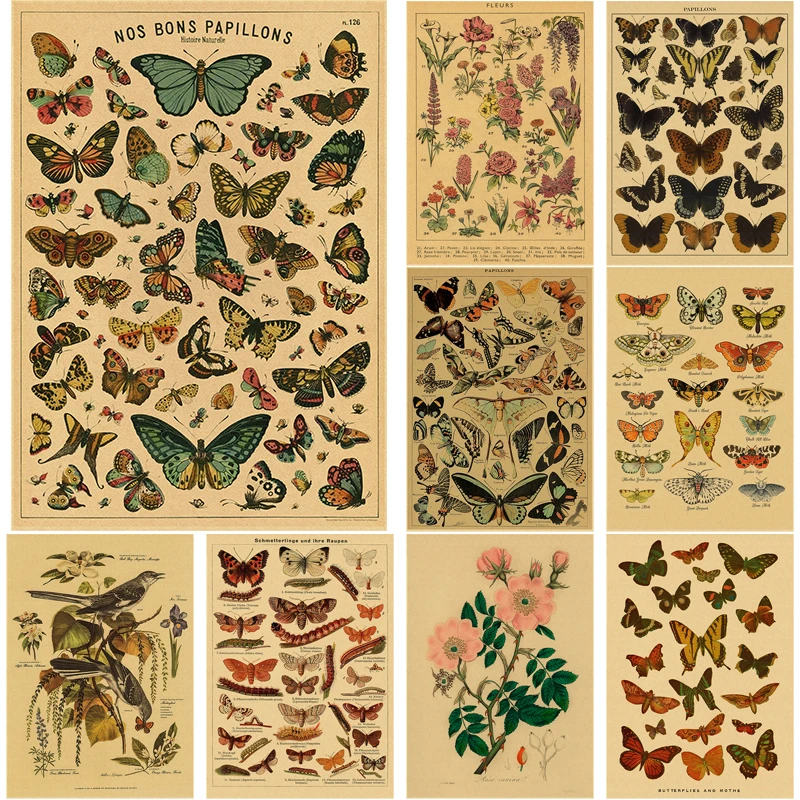 Posters Prints Butterflies | Butterfly Aesthetics Posters - Poster ...