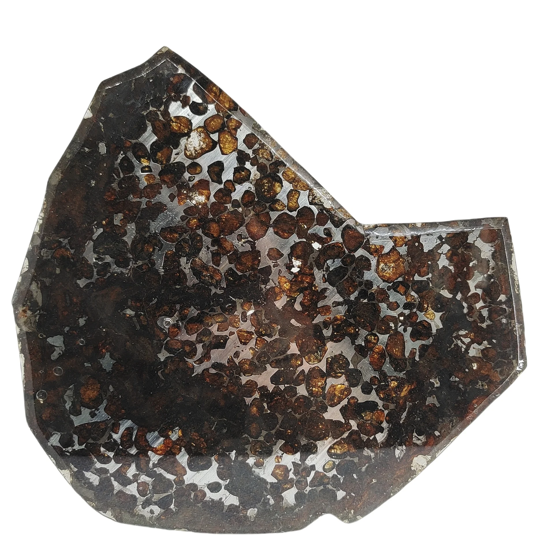 173-4g-Sericho-Pallastie-Meteorite-Olivine-Slice-Meteorite-Natural ...