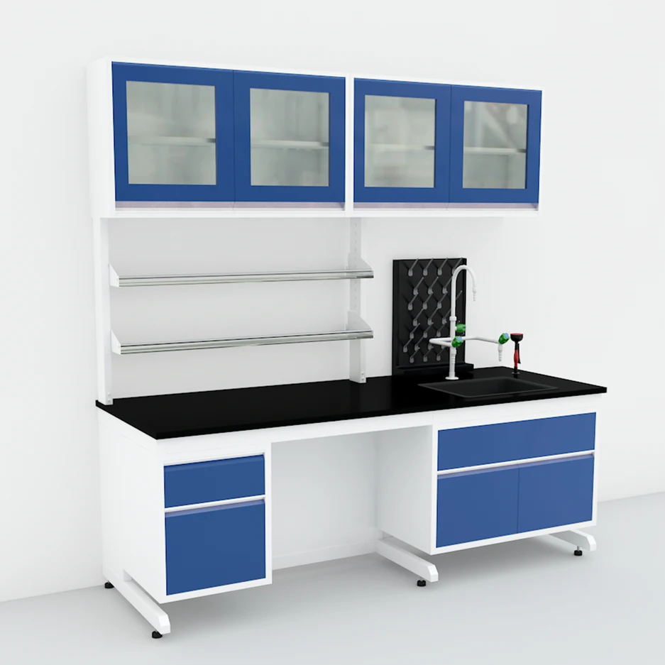 Lab Cabinets for Schools and Laboratories: The Ultimate Guide to Smart ...
