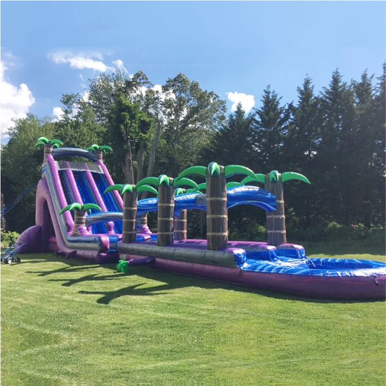 Commercial-Grade-PVC-Slide-Purple-Palm-Tree-Inflatable-Water-Slides ...