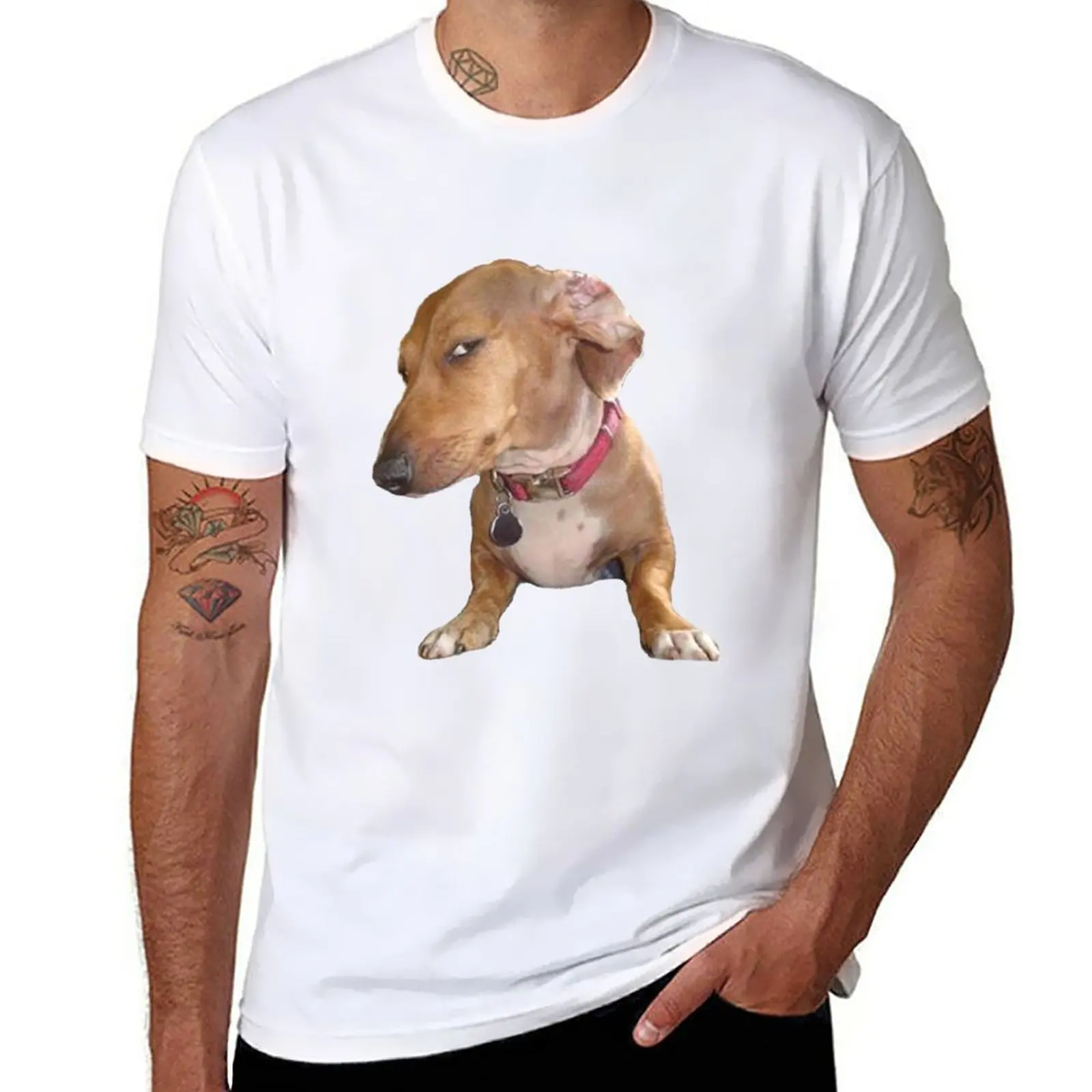 Zwarte Metalen Hond Meme Gevoerd Anny X Tuigje Mét Naam Hond