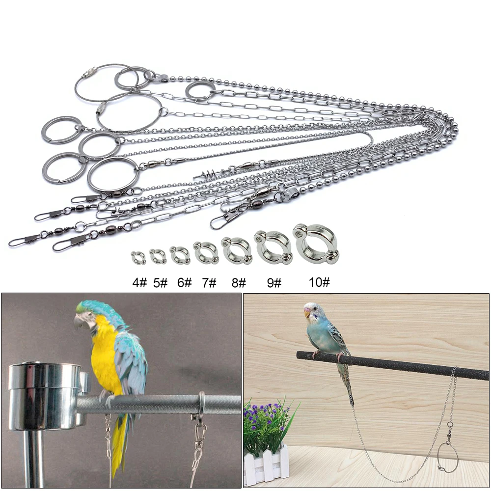 Stainless Steel Parrot Chain Bird Foot Ring Stand Chain Parrot Rope ...