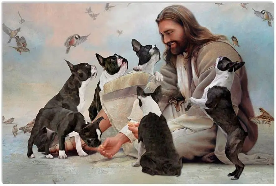 Cartel-de-Metal-de-hojalata-Vintage-cartel-de-Dios-rodeado-de-perro ...