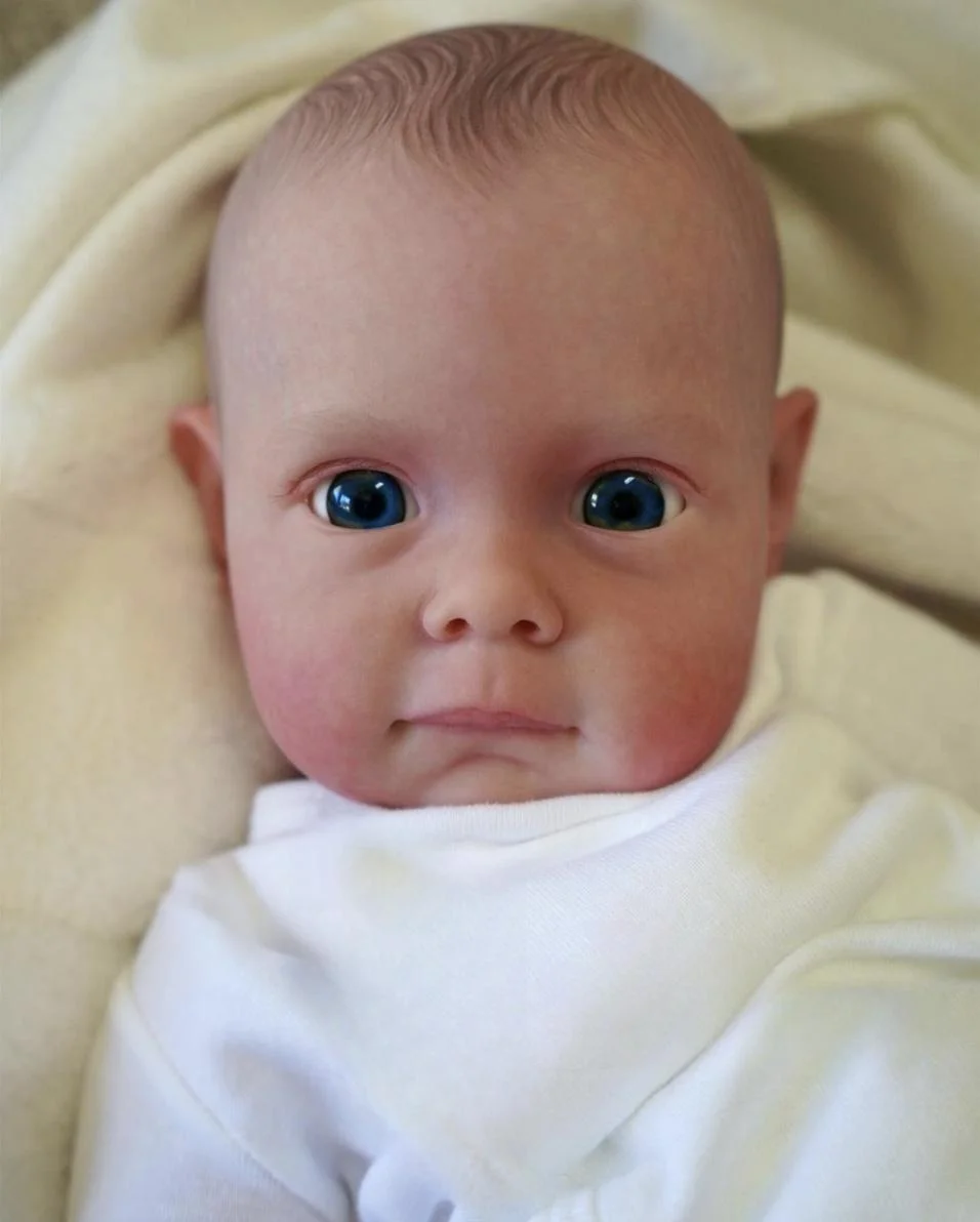 DreamBaby Toy Store