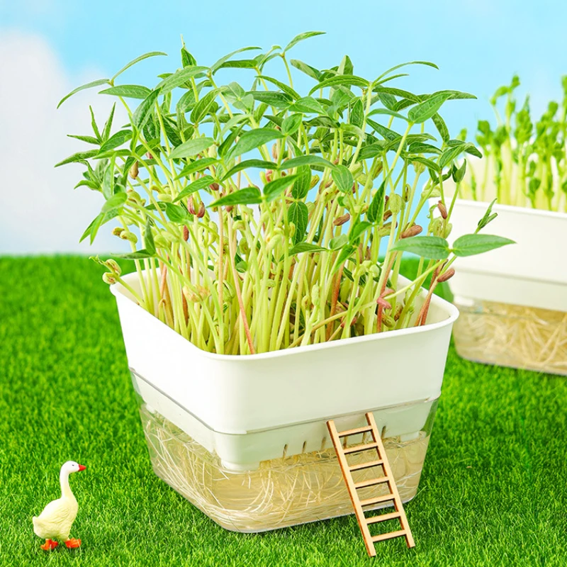 Bean-Sprout-Planting-Tray-Home-Nursery-Pots-Seed-Soilless-Hydroponics ...