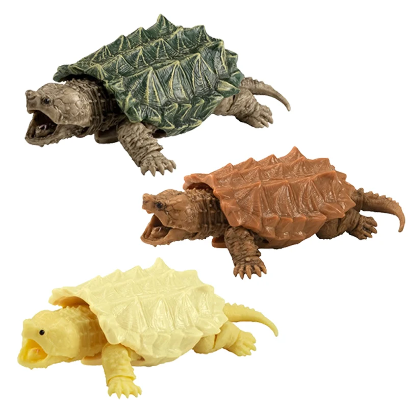 Albino Alligator Snapping Turtle