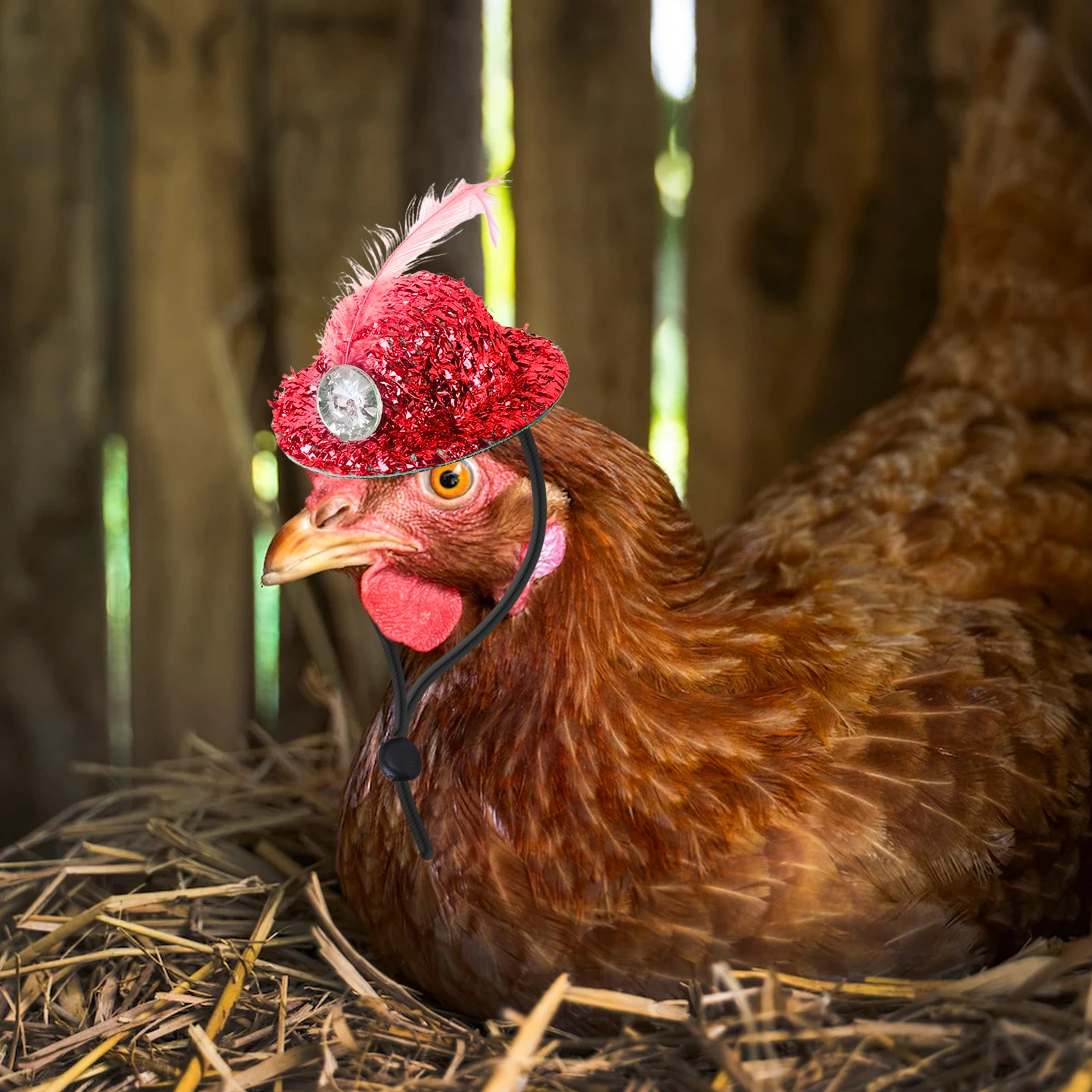 Bonnets For Chickens