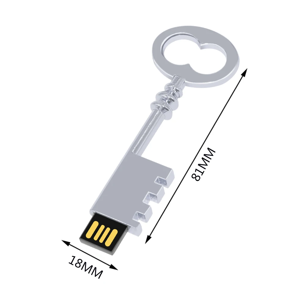 Skeleton Key Usb Drive