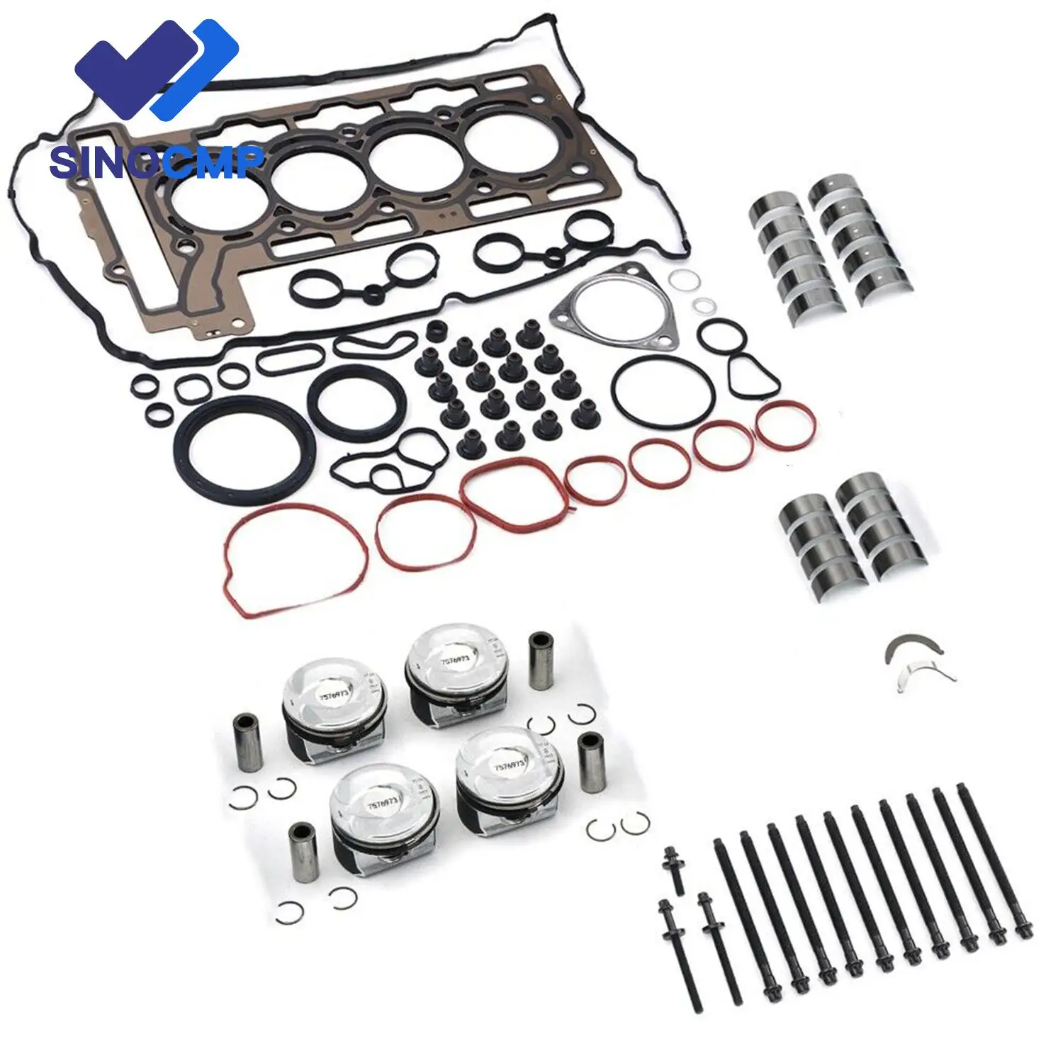 11257566019 11257588265 N14 N14B16A N14B16C Engine Overhaul Rebuild ...