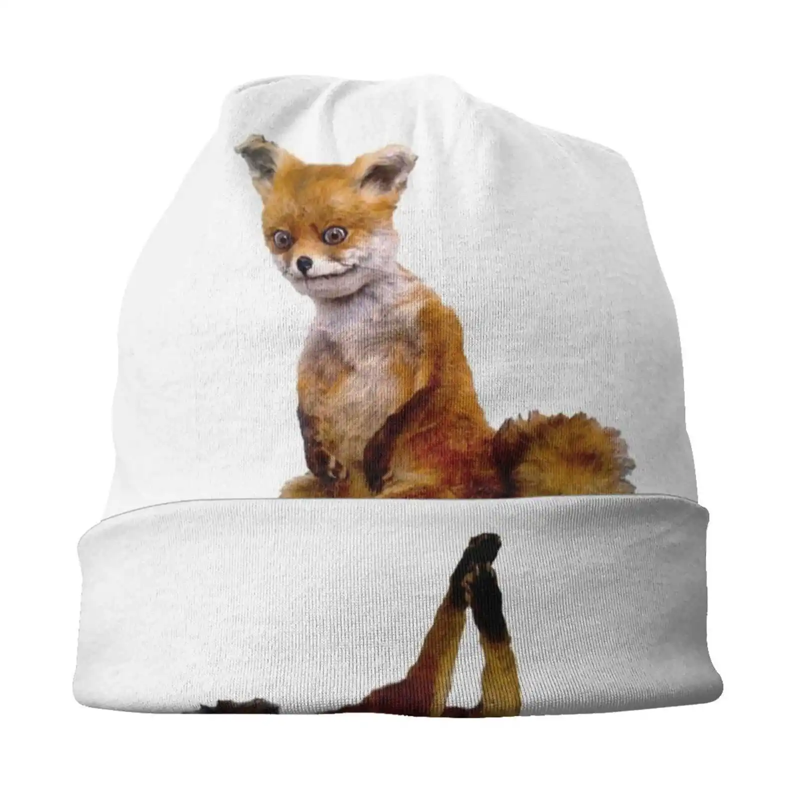 Stoned Fox Images