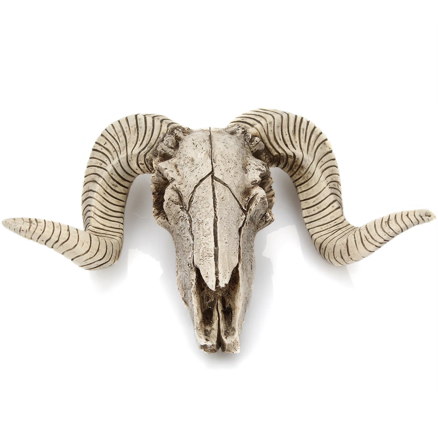 Ram Animal Head Skull