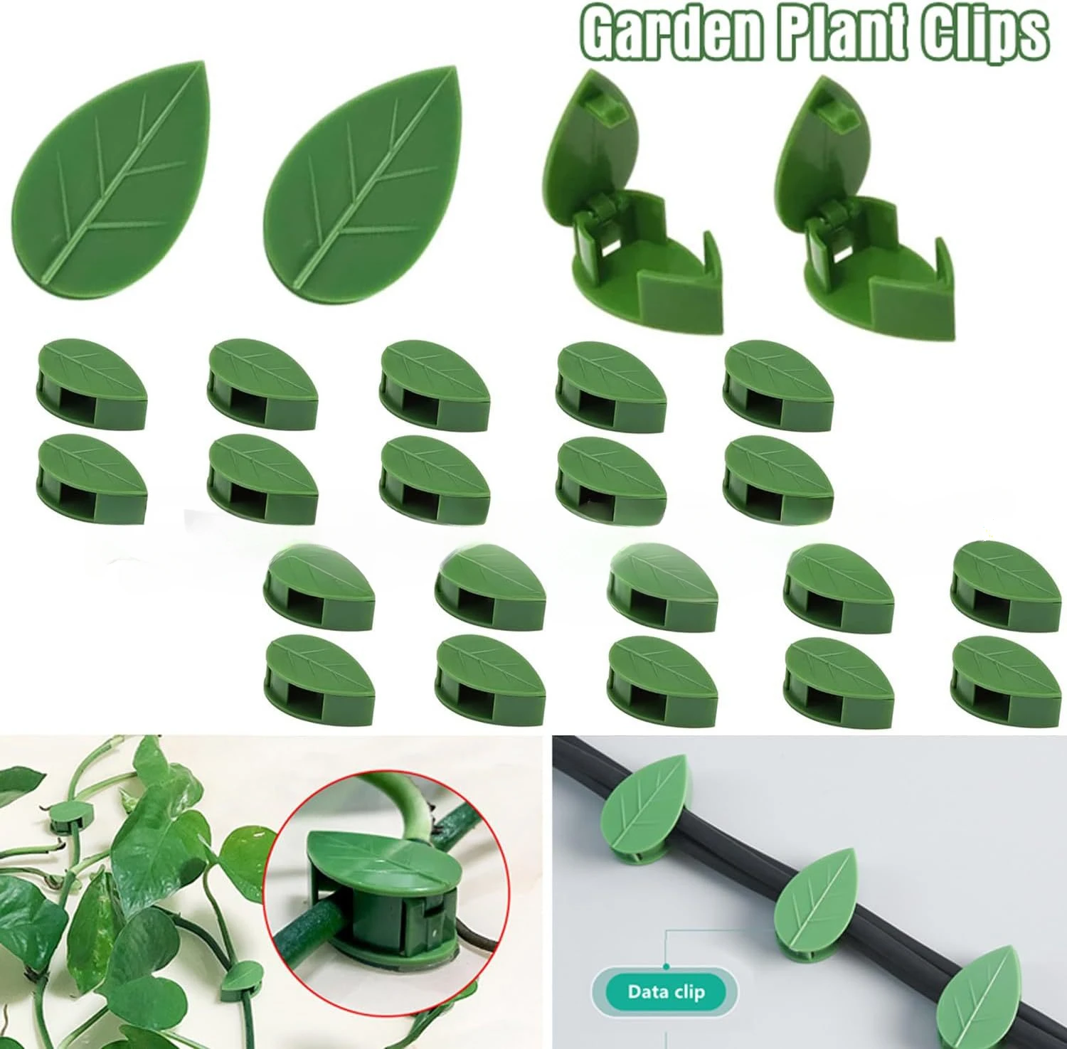 Plant-clip-Green-rose-climbing-vine-fixer-Plant-growth-clip-Garden-clip ...