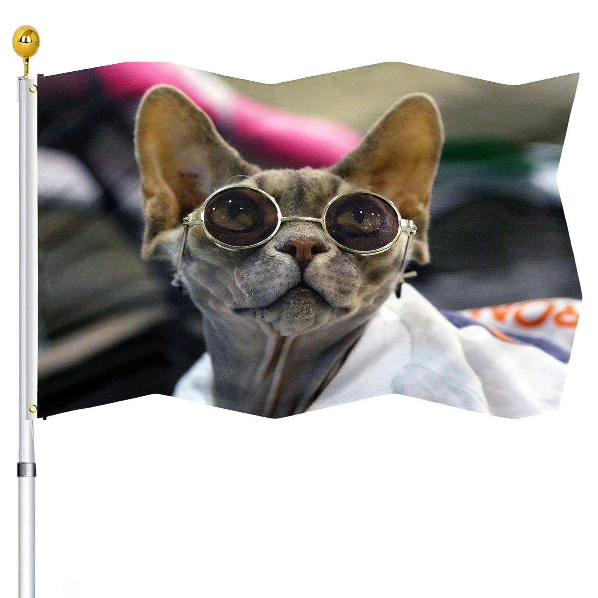 Cat-Wearing-Sunglasses-Flag-Funny-Sphynx-Cats-Double-Stitched-Flags ...