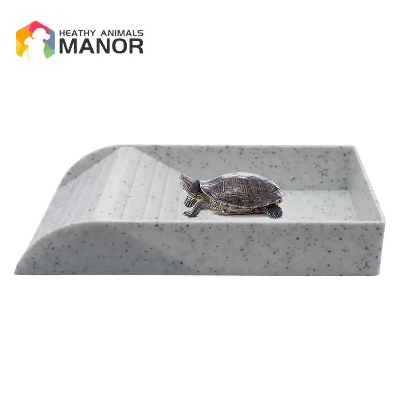 Pet Turtle Bowl
