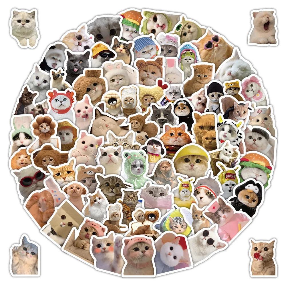 100 Pcs Realistic Cat Photo Stickers - Lifelike Feline Decals for ...