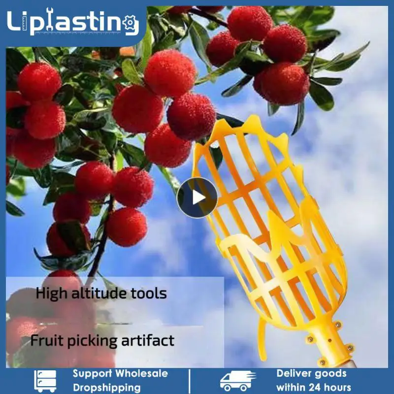 Fruit-Picker-Adjustable-Fruit-Collector-Picking-High-Altitude-Pole ...