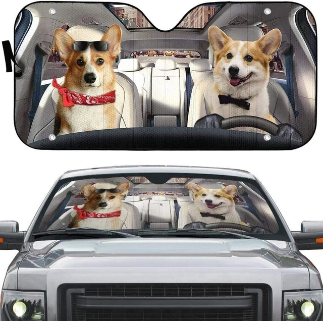 Driving Corgi