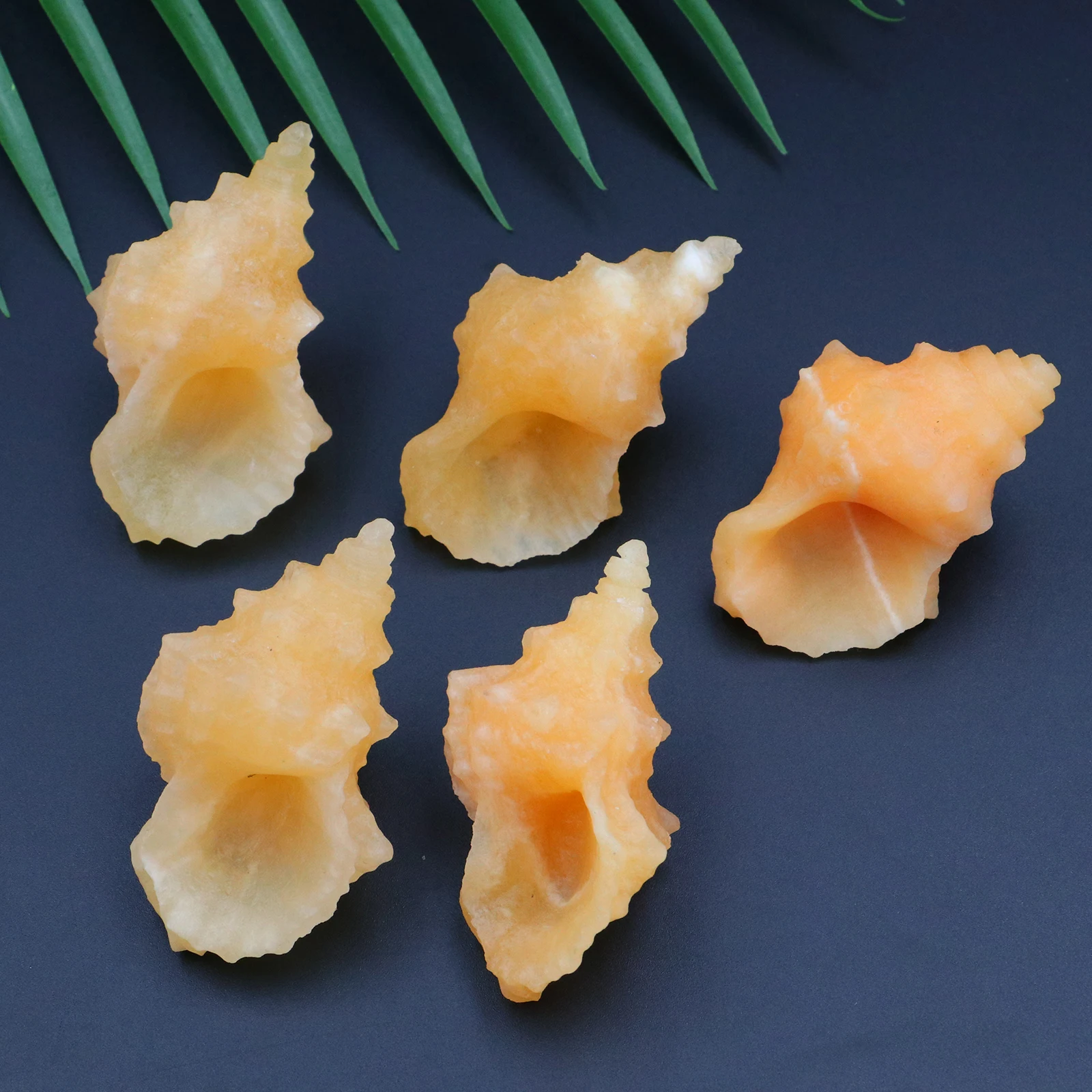 Unique-Crystal-Hand-Carved-Conch-Shell-Collection-Perfect-Gift-for-Kids ...