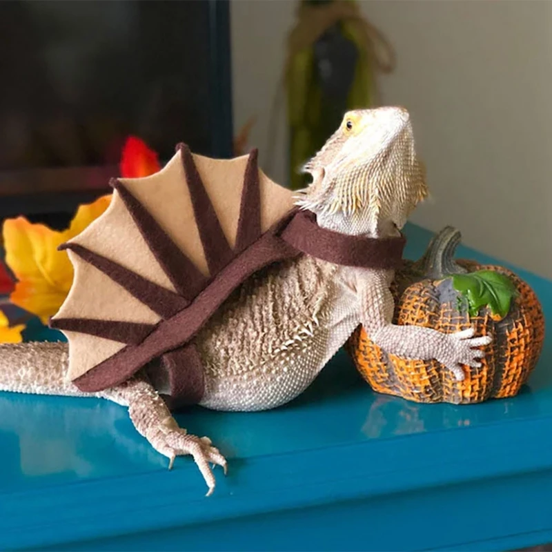 Cute Bearded Dragon Costumes