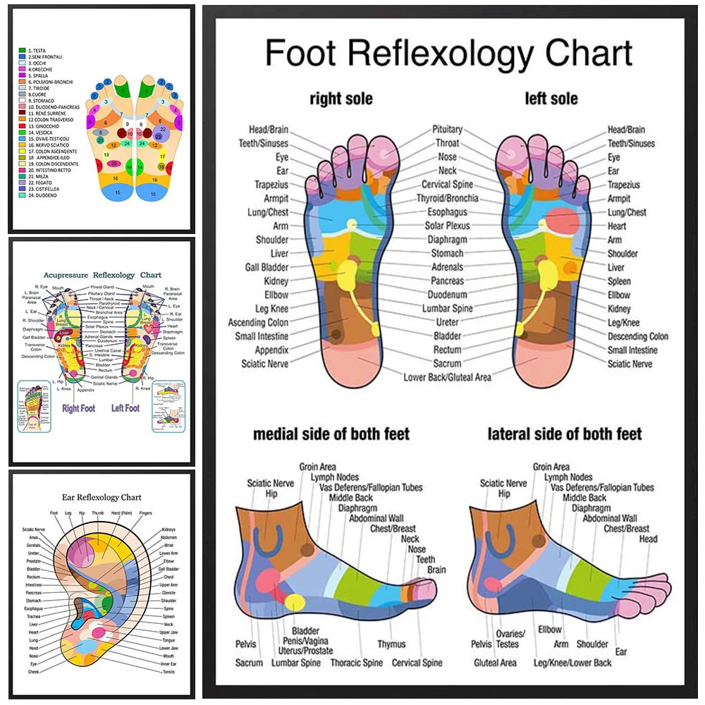 Foot-Reflexology-Chart-Ear-Hand-Face-Posters-Prints-Wall-Art-Canvas ...
