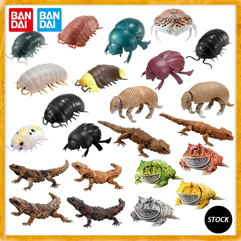 In Stock Bandai Japanese Gashapon Egg Big Biological Map Of Gecko ...