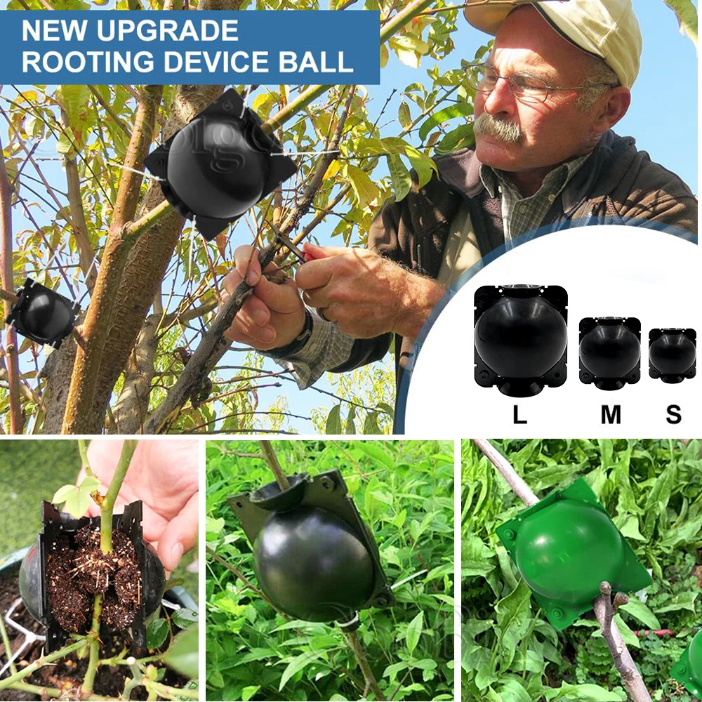 5pcs Plant Root Growing Box Cutting Grafting Rooting Ball Garden ...