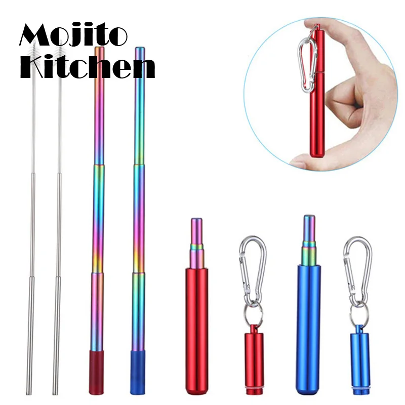 Reusable-Stainless-Steel-Straws-with-Aluminum-Keychain-Case-Cleaning ...