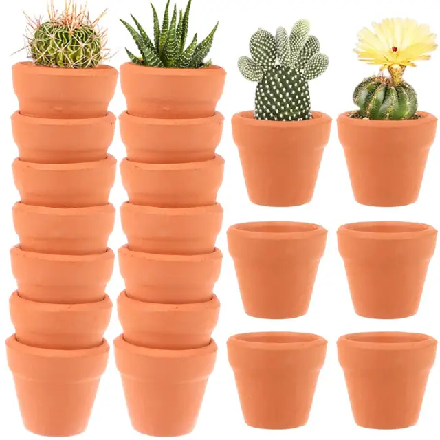 Proyectos Que Puedes Hacer Con Mini Macetas SET DE 5 MINI SUCULENTAS