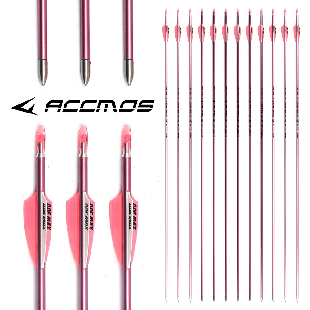6-12pcs-Pure-Carbon-Arrow-Spine-500-600-700-800-900-1000-ID-4-2mm ...