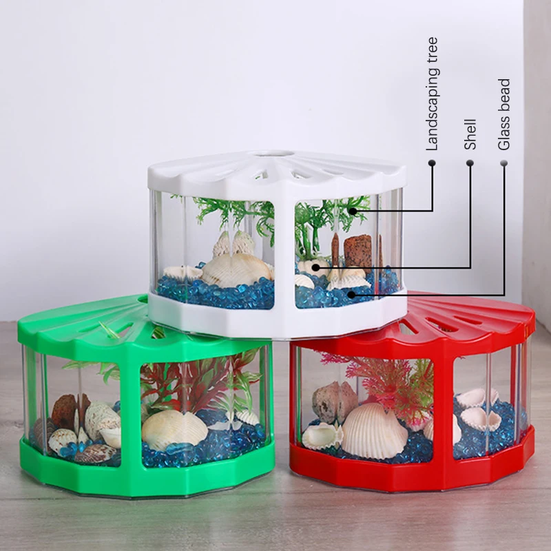 Mini-pecera-transparente-con-tapa-para-el-hogar-caja-de-insectos-con ...