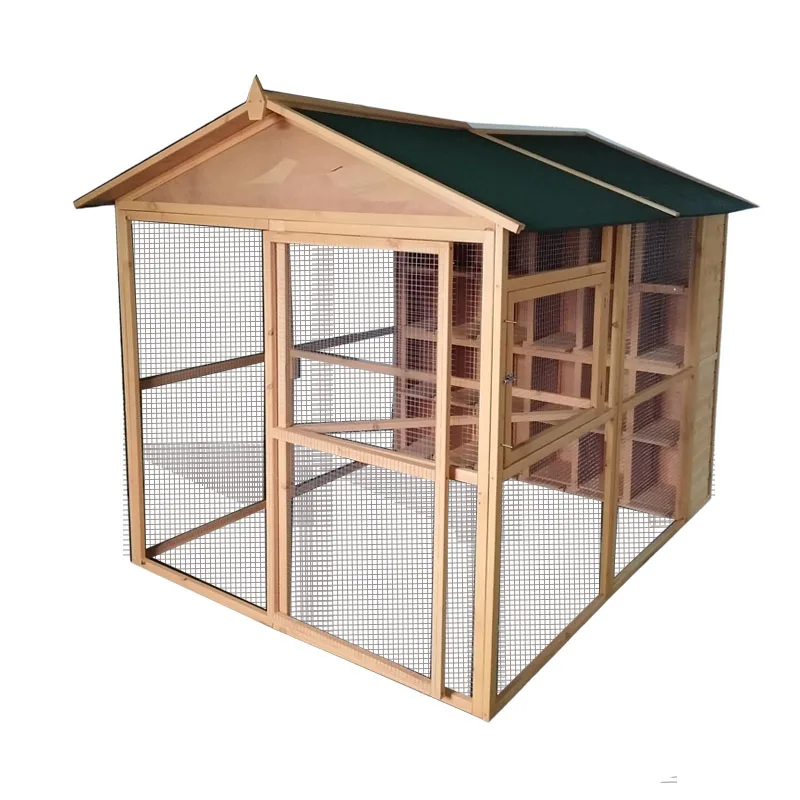 Simple Pigeon Loft