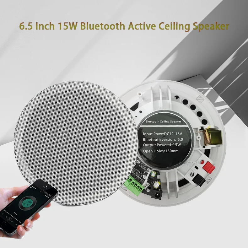 Waterproof-Built-In-Digital-Class-D-Amplifier-Bluetooth-compatible ...