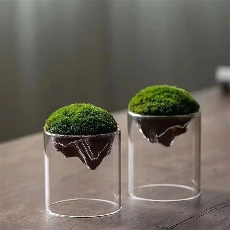 Creative Mountain Shaped Moss Glass Bottle Moss Vase Hydroponic Fleshy ...