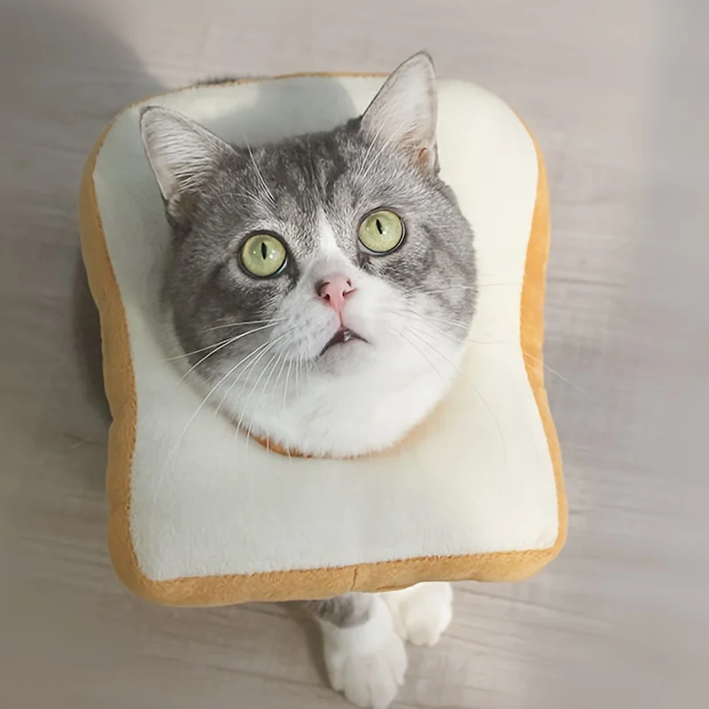 Soft Adjustable Cute Toast-Shaped Elizabethan Cat Collar - Recovery ...