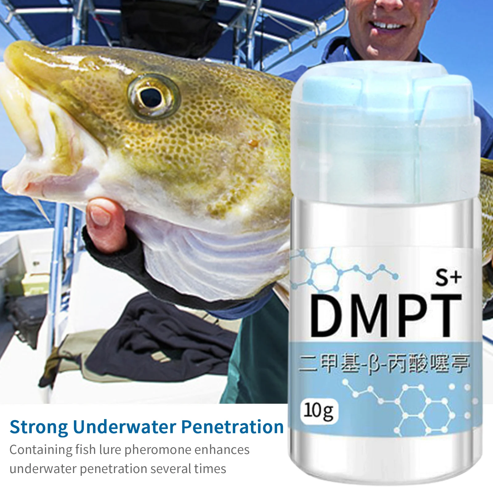 DMTP-Strong-Shrimp-Scent-Fish-Attractant-Cheese-Smell-Fish-Attractant ...