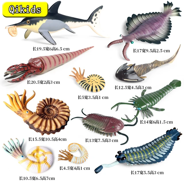 Precambrian Animals List