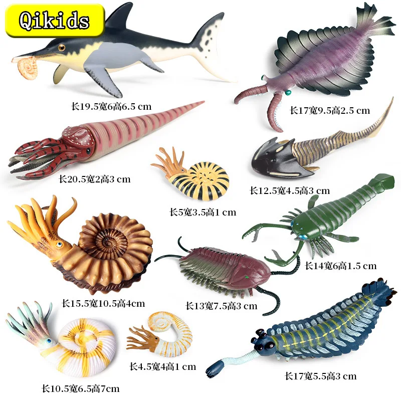 Simulation Marine Animal Model Cambrian Ancient Creatures Strange ...