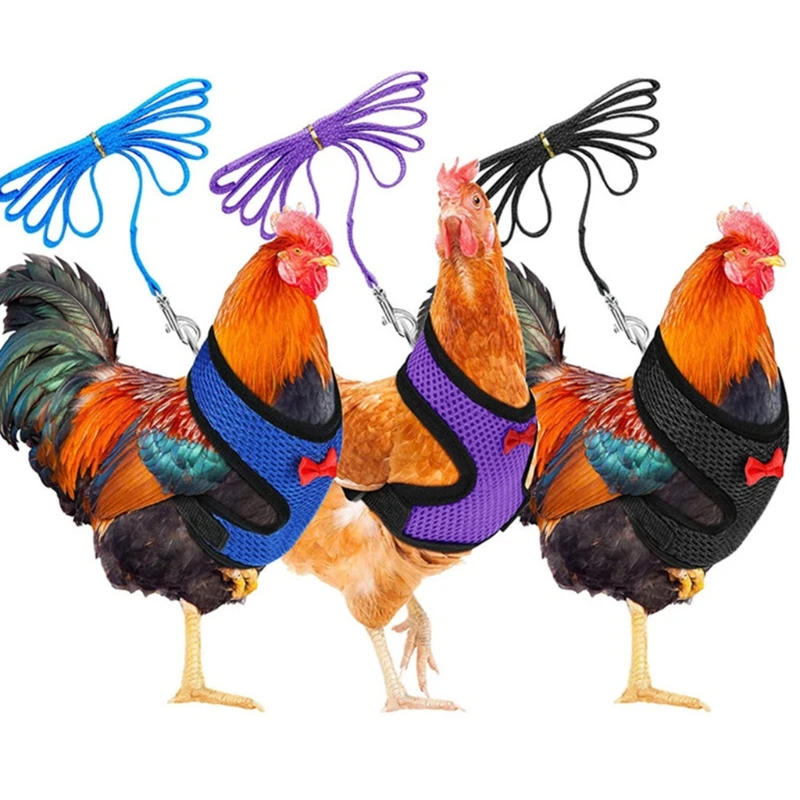 Adjustable Harness Hens | Chicken Harness Leash | Chicken Farm Supplies ...