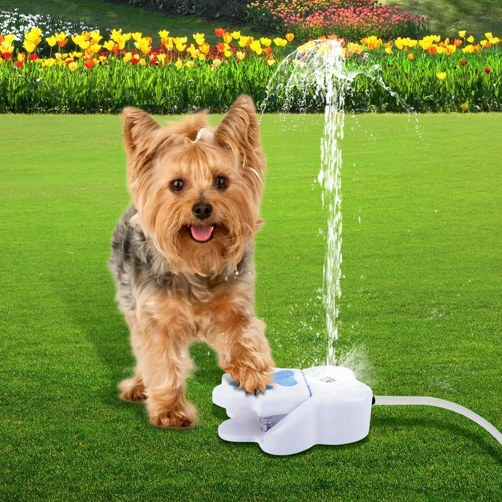 Water Fountain for Dog Summer outdoor dog drinking fountain Paw ...