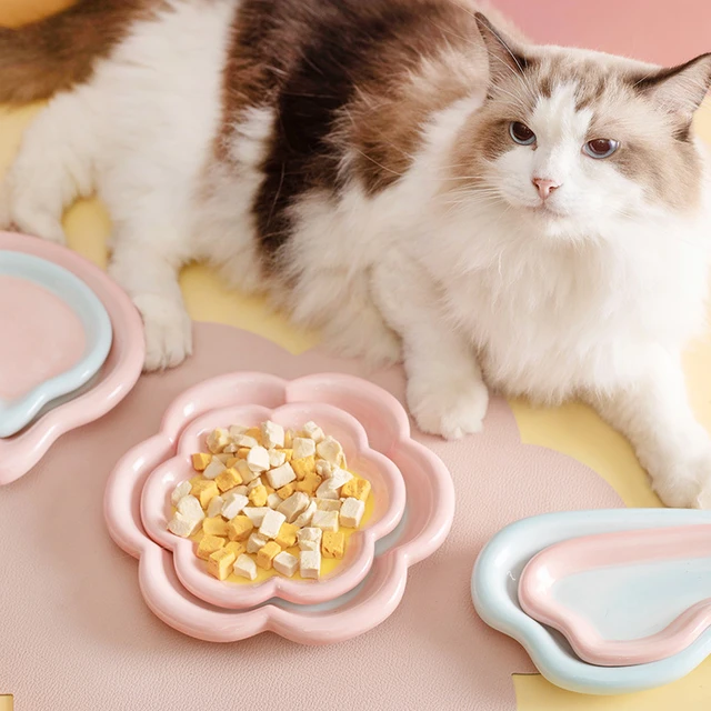 Korean Food Cat