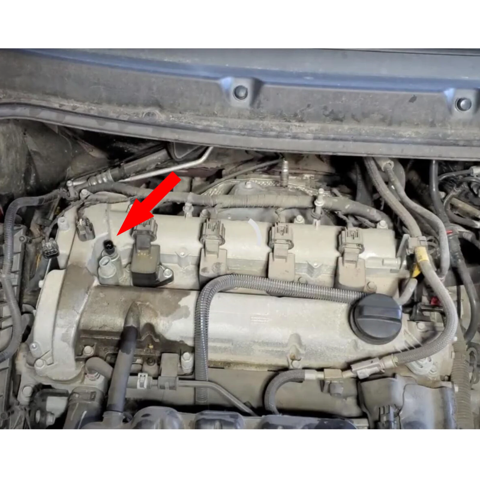 VVT Solenoid Connector Delphi Variable Valve Timing Solenoid Connector ...