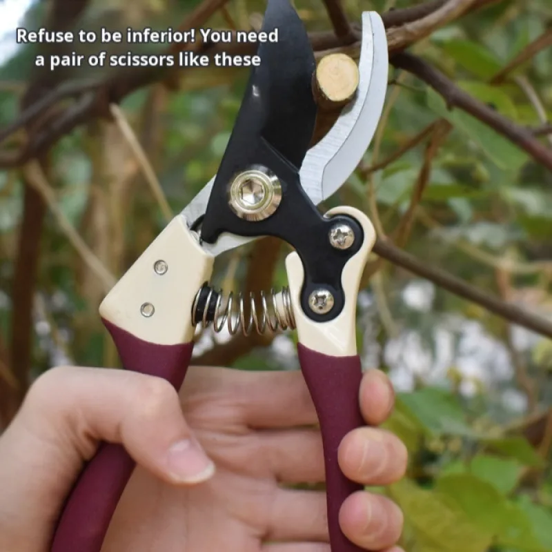 Sk5-Pruning-Scissors-Powerful-Branch-Shears-Fruit-Tree-Bonsai-Gardening ...