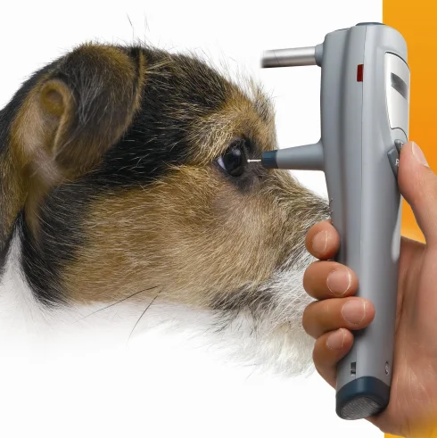 Schiotz Tonometer Dog
