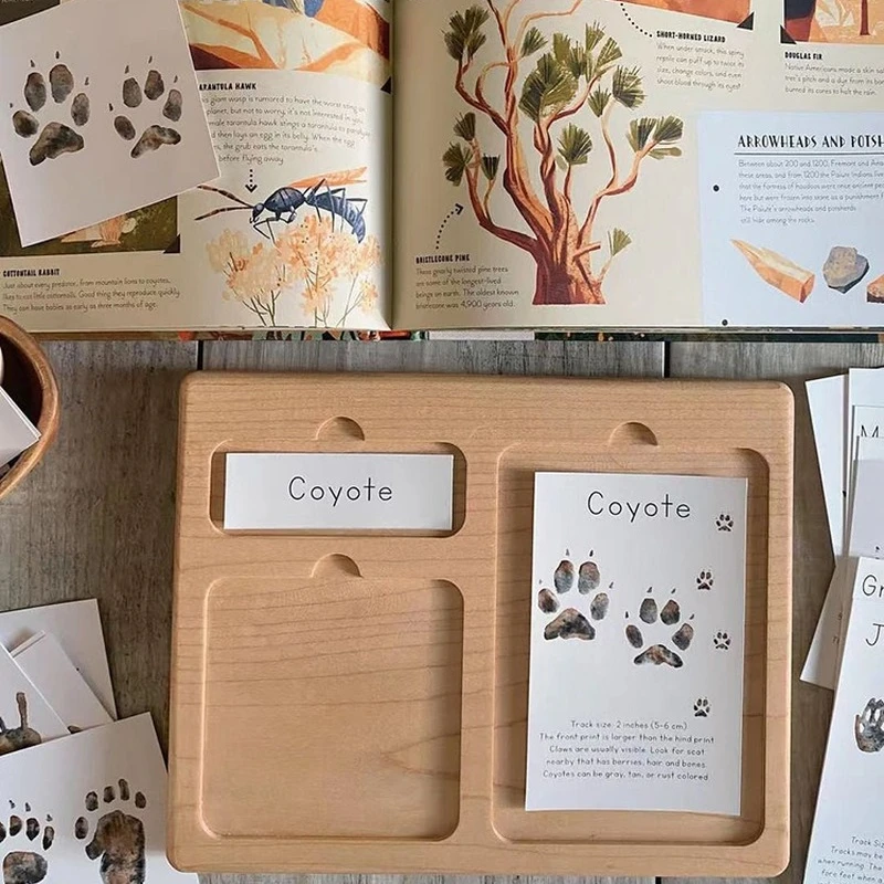 Montessori Beech Log Wooden Board Early Childhood Enlightenment Three ...