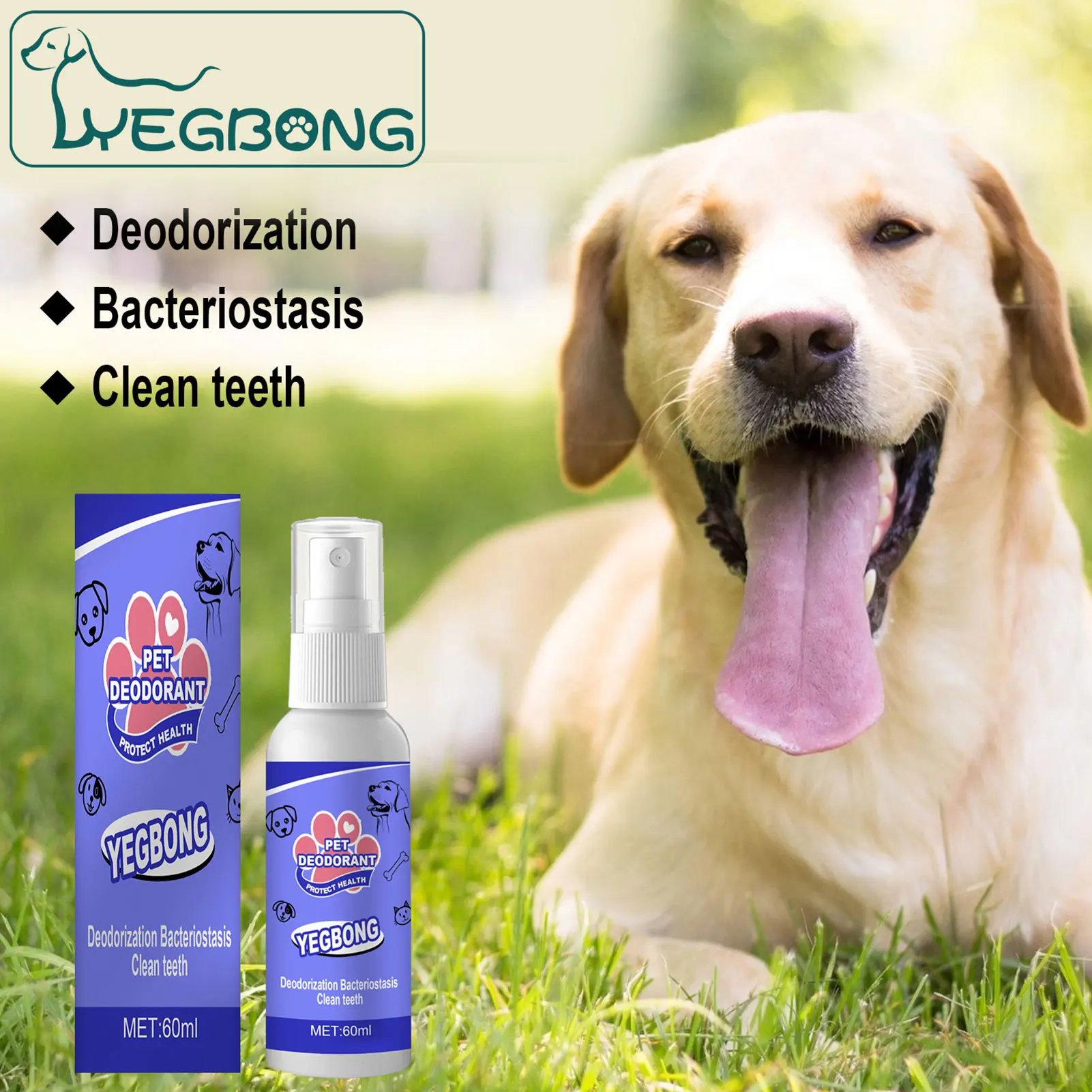 Is Spraying Dogs With Water Bad