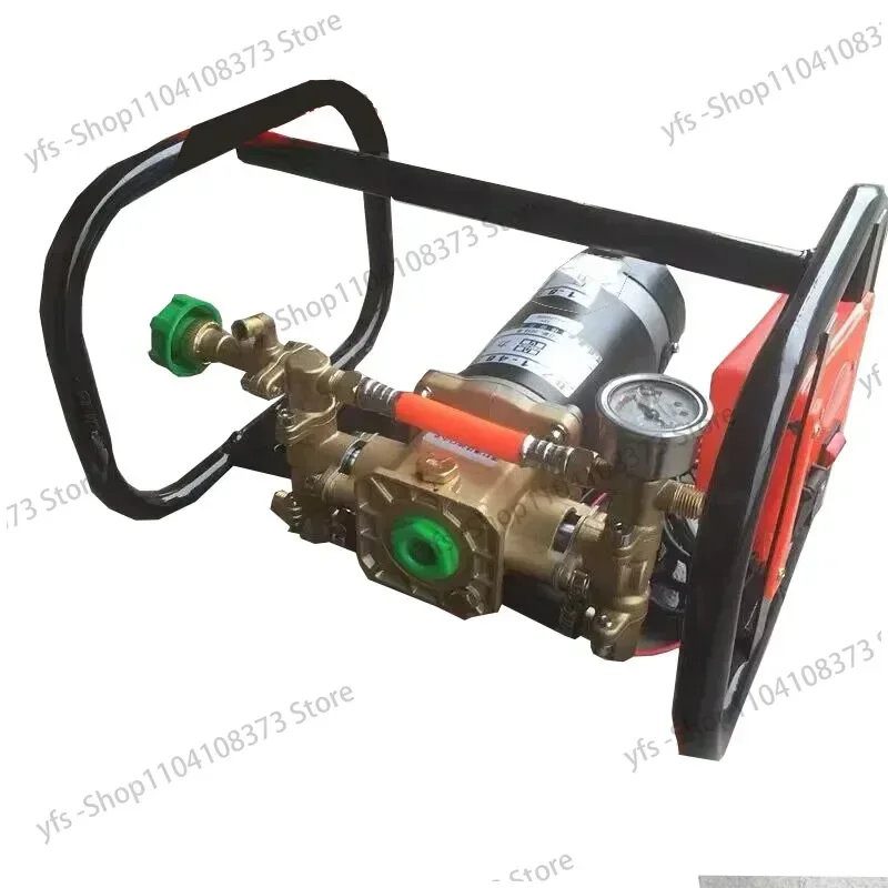 12V-Portable-Spraying-High-Pressure-Double-Cylinder-Plunger-Pump ...