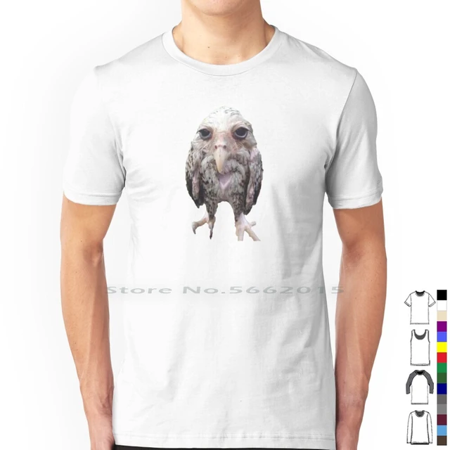 Self Control Owl Meme