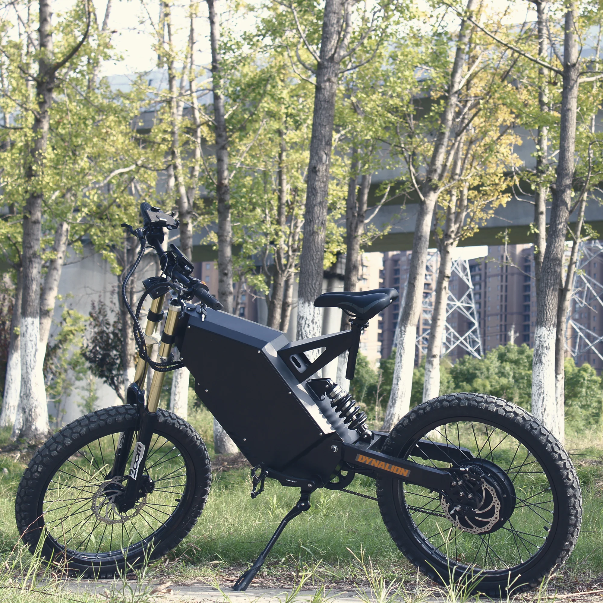 120km-h-3000w-5000w-8000w-12000w-15000w-Electric-Mountain-E-Bike-Ebike.jpg